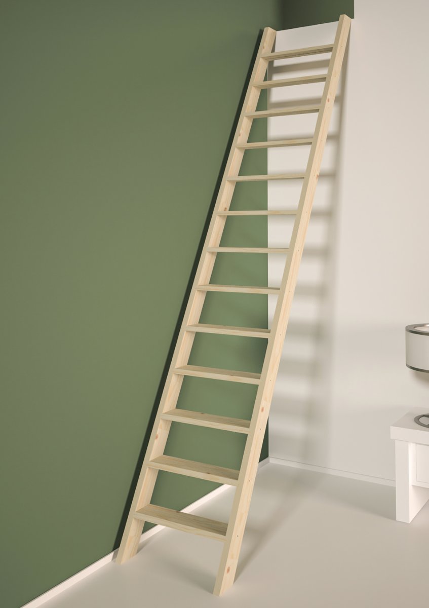 PREMIUM LADDER 275X50 Z. LEUN. kopen?