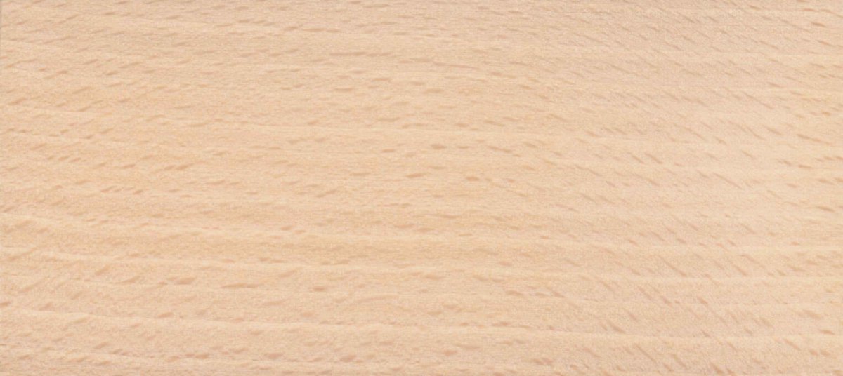 Beuk hout Pollmeier 26 (23,8) mm kopen? - Beuk hout