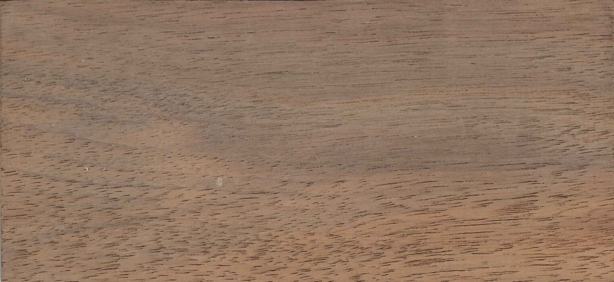 Amerikaanse Notelaar 52mm superprime kopen?