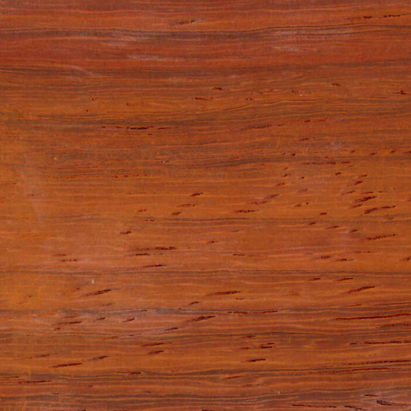 Padouk hout kopen? - Hanssens Hout groothandel